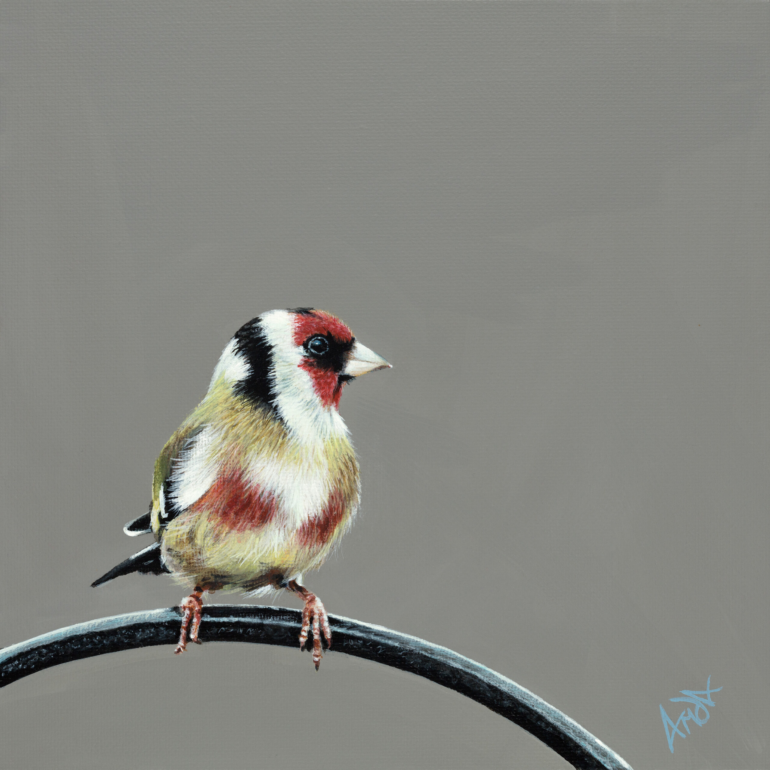 Goldfinch - Green Gallery